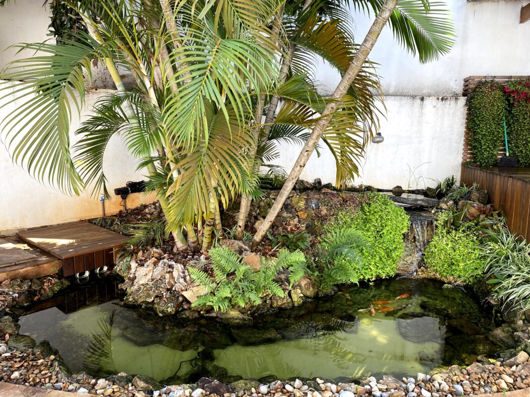Como montar um lago ornamental – Parte 3/3 - Escola de Aquário
